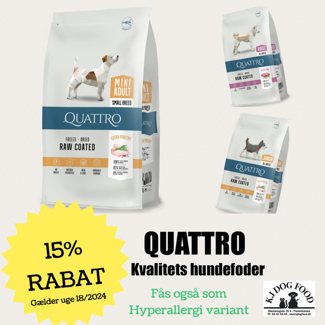 KJ DOG FOOD – KJ DOG FOOD